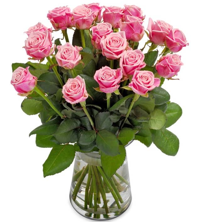 Send Roses Online - Fresh Roses Delivery in Malta