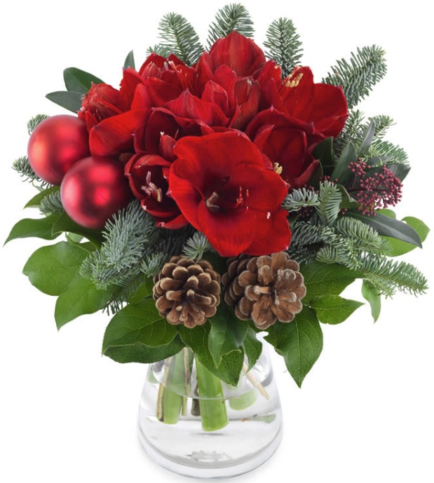 Santa Claus - Florist Online - McFlor Flowers Delivery